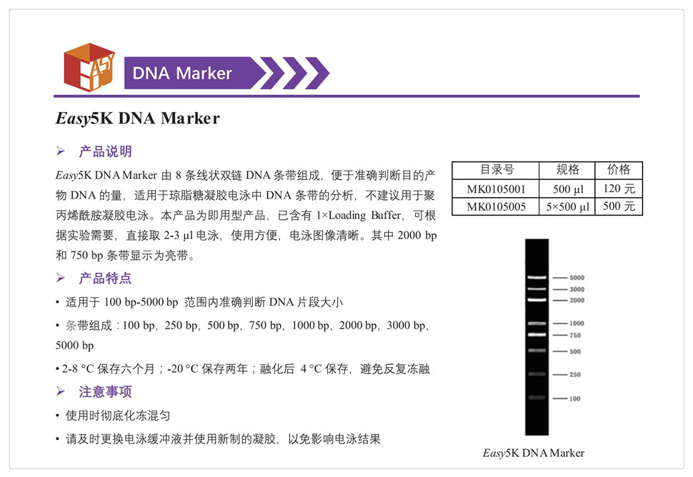 Easy5K DNA Marker 凝胶电泳5000片段标准条 - 浙江易思得生物科技有限公司