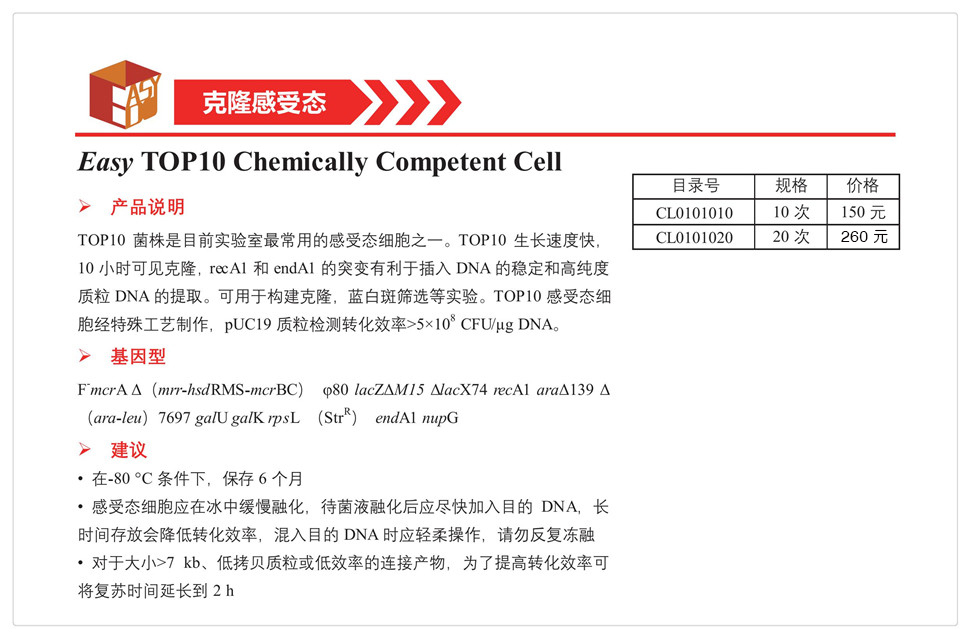 Easy TOP10 Chemically Competent Cell TOP10感受态质粒扩增克隆感受态 - 浙江易思得生物科技有限公司