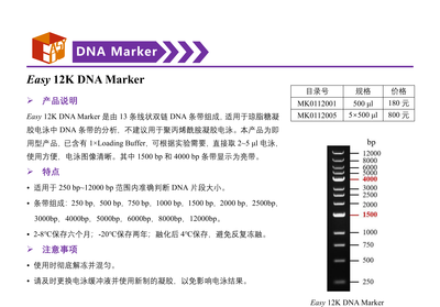Easy 12K DNA Marker 凝胶电泳12000片段标准条带 - 浙江易思得生物科技有限公司