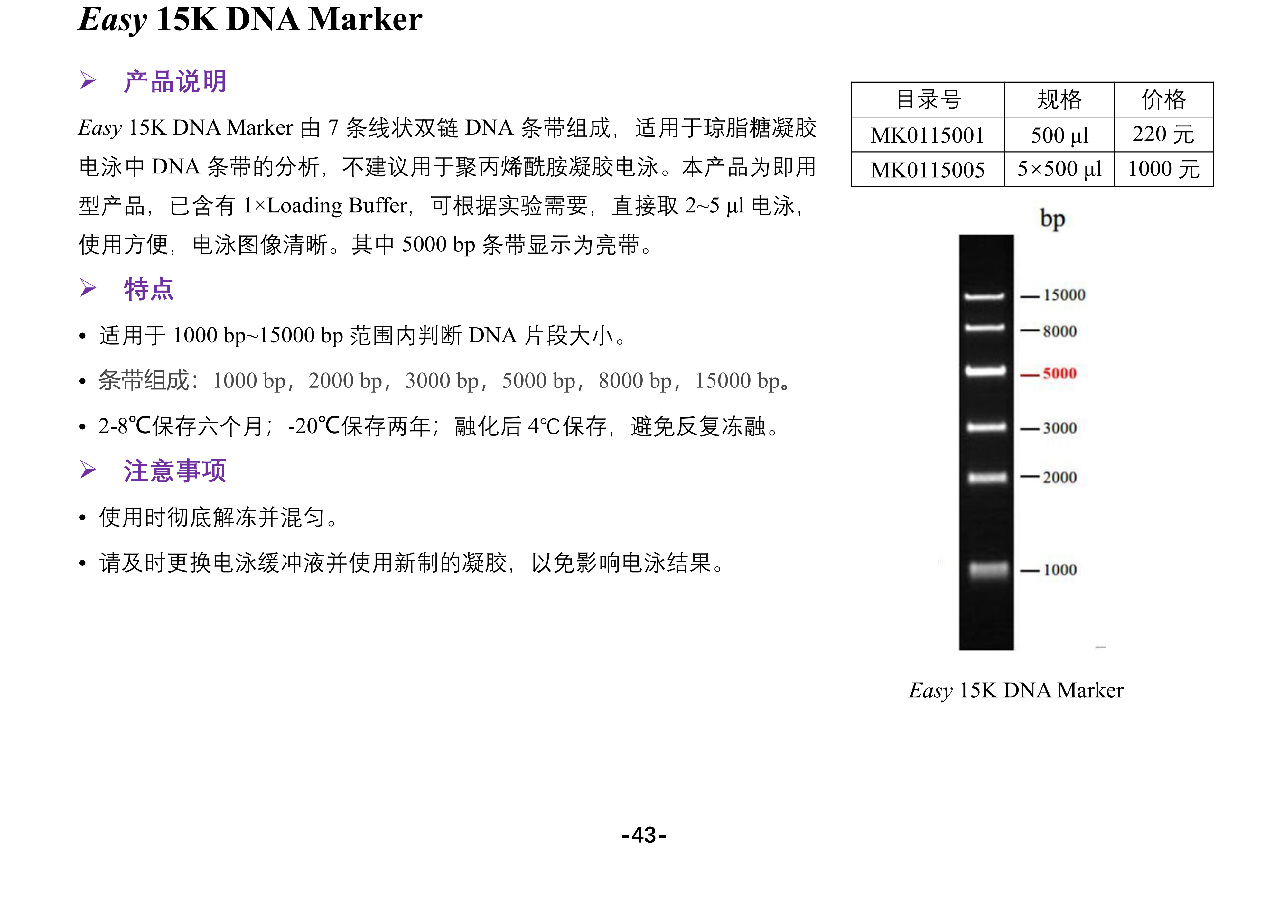 Easy 15K DNA Marker 凝胶电泳15000片段标准条带 - 浙江易思得生物科技有限公司