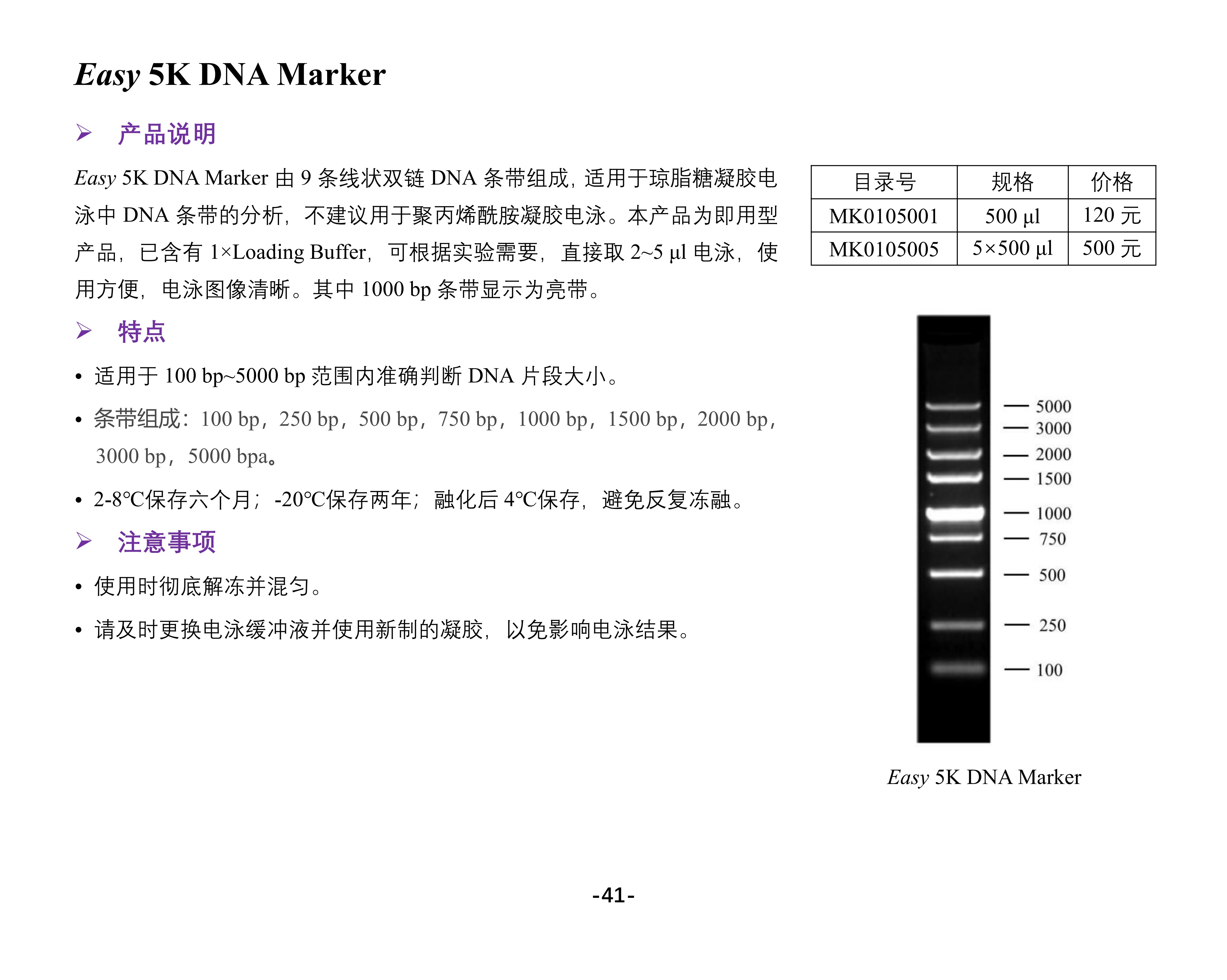 Easy 5K DNA Marker 凝胶电泳5000片段标准条（MK0105001） - 浙江易思得生物科技有限公司